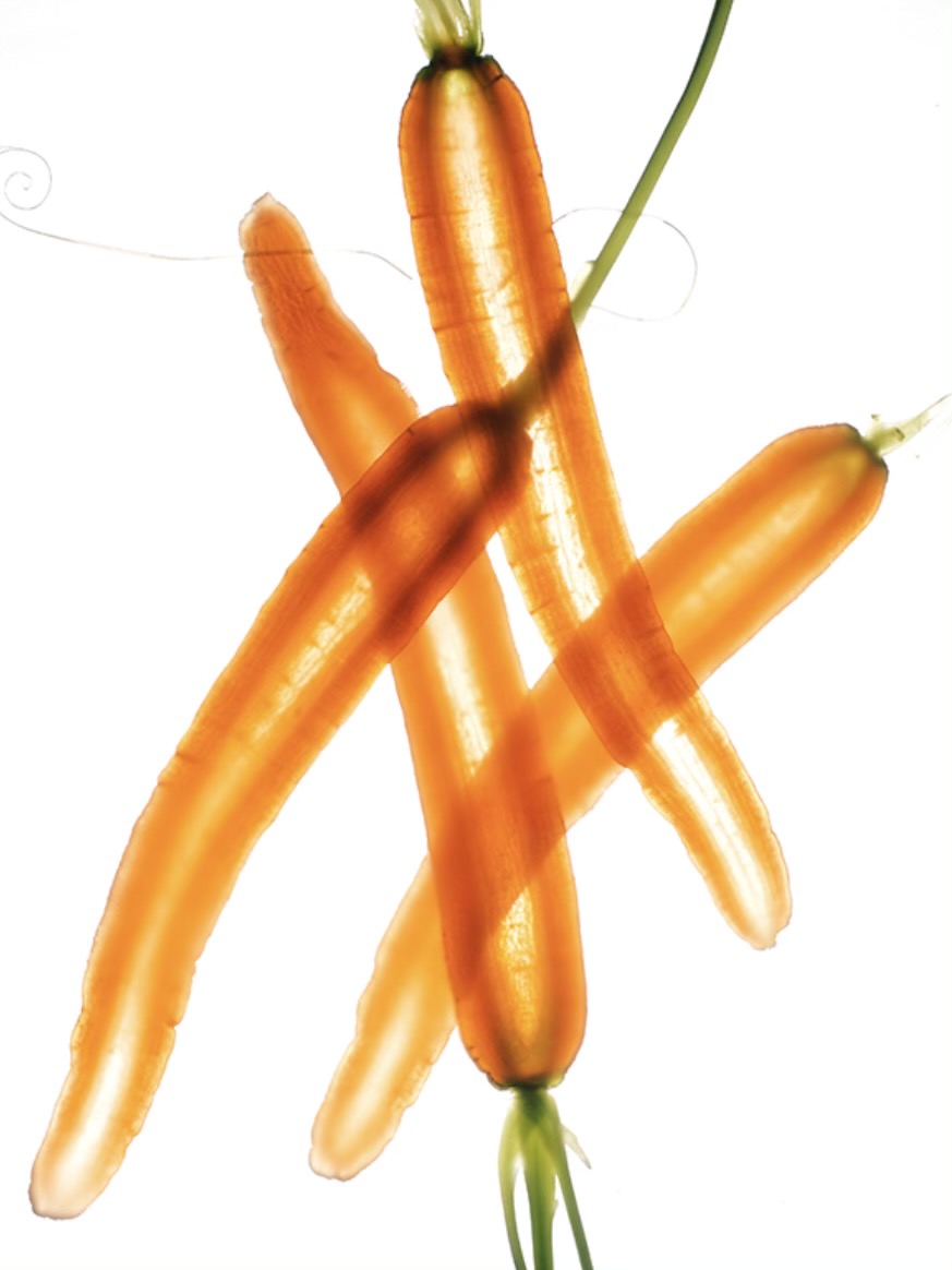 Jean-Blaise Hall - The Instant When